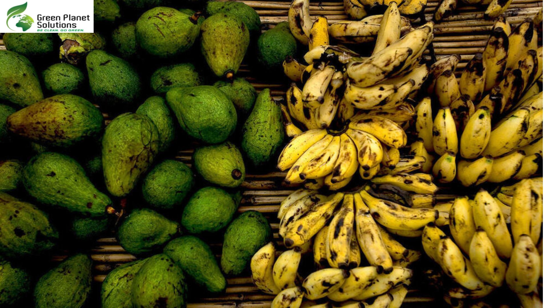 What Are The Effects Of Food Waste on Climate Change