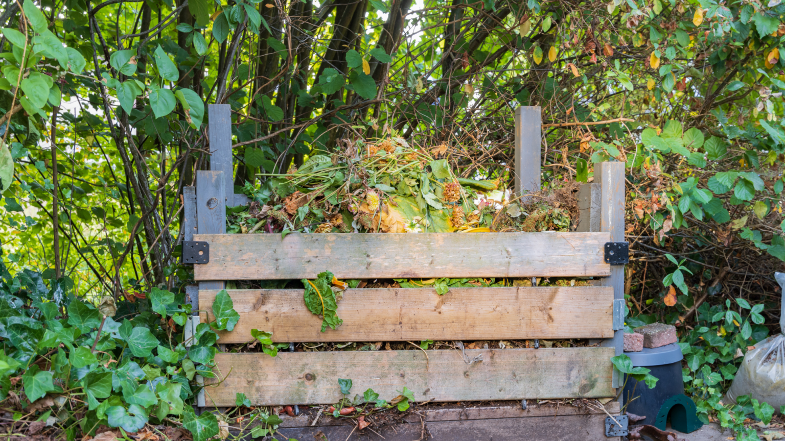 Compost Machine: A Green Revolution for Waste Management