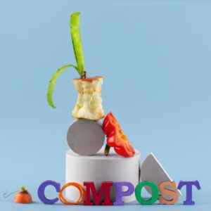 What You Need to Know About Food Waste Composter