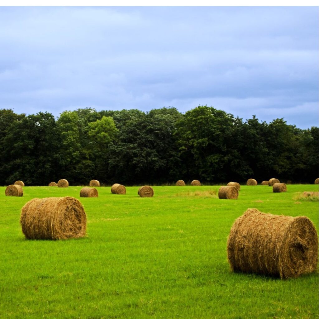 Revolutionizing Spain Waste Management with Baling Machines